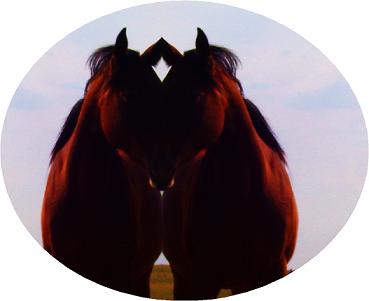 Seeing Double (in Clipart)